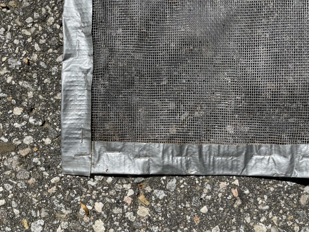 Periodical Cicada Cages | Cicadas