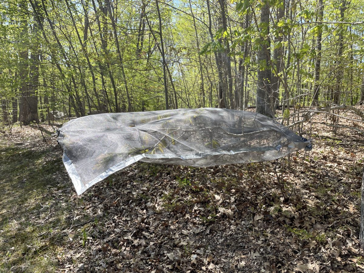 Periodical Cicada Cages | Cicadas